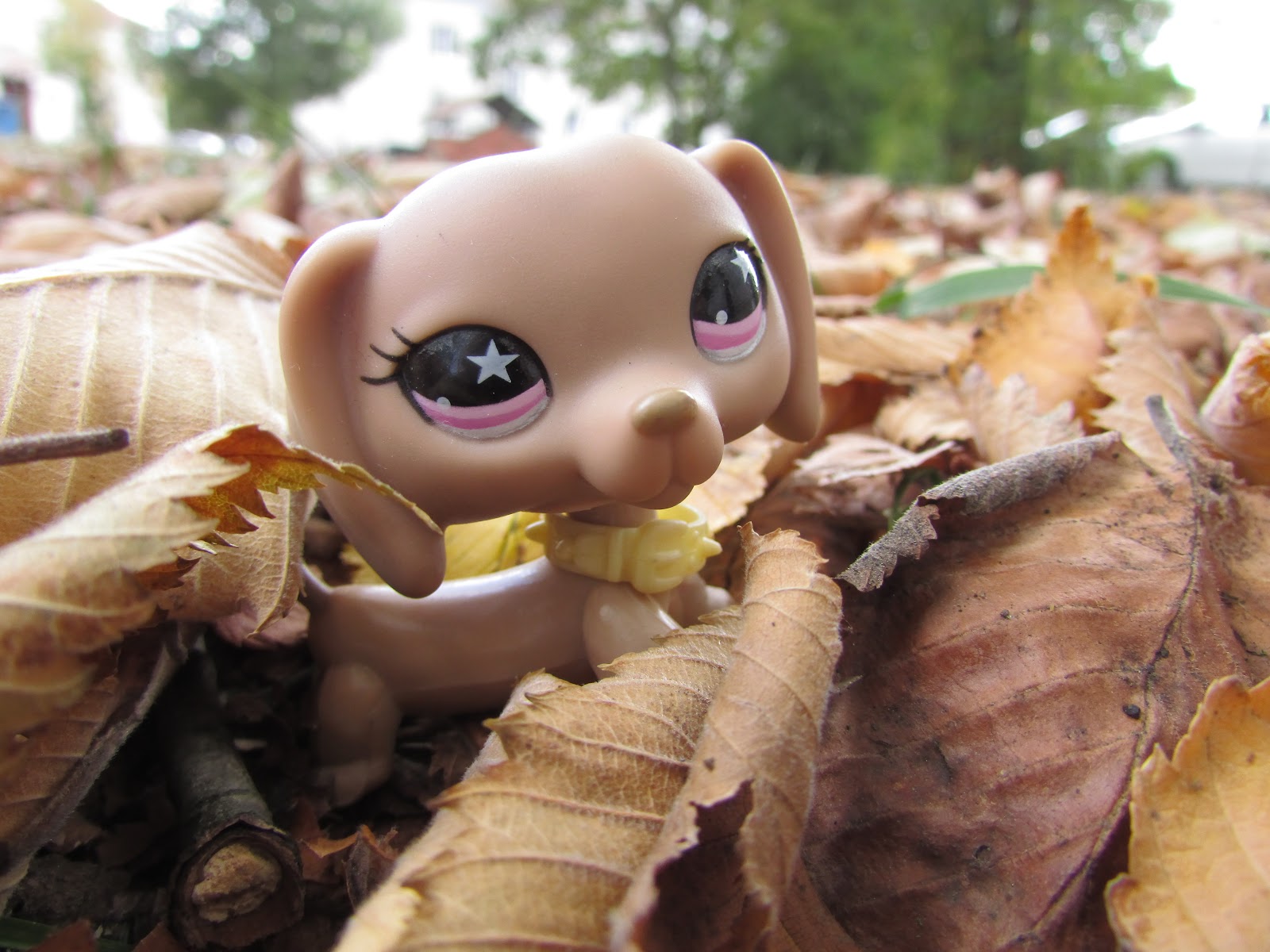 Mój świat LPS: 134. LPS: Jesienna sesja