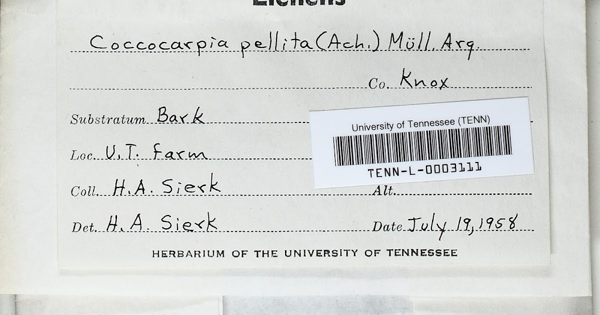 Collaborative Manuscript Transcription: Detecting Handwriting in OCR Text