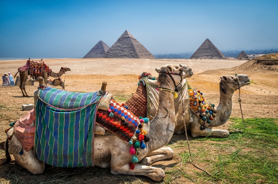 Ibis Egypt Tours: All Inclusive Egypt Holidays