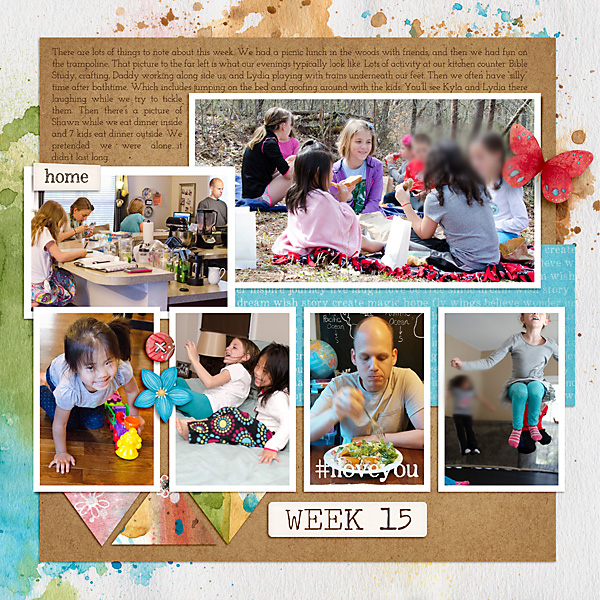 Week 15: The Whole Picture / Scrapping with Liz