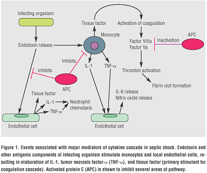 ΥΓΕΙΑ health: Septic shock