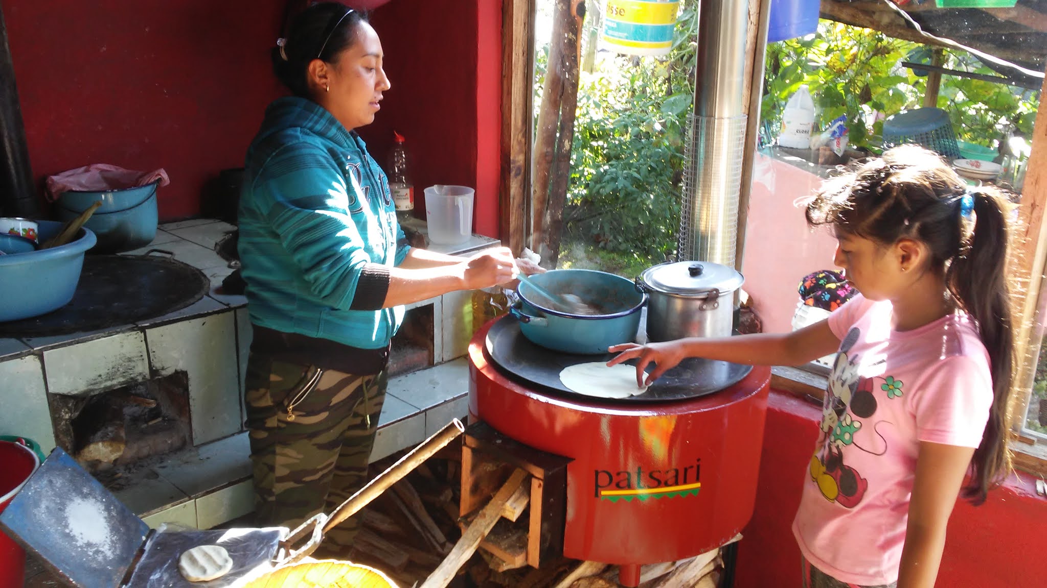 Proyecto PATSARI®, Uso Sustentable de la Leña