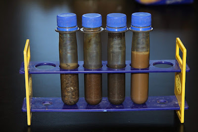 Isabella Conservation District Environmental Education Program: Soil ...