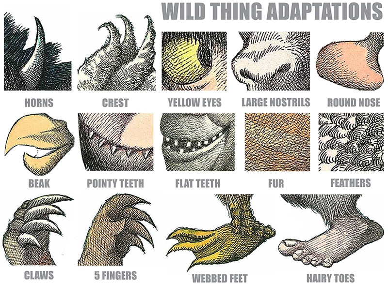 E is for Explore!: Wild Thing Adaptations