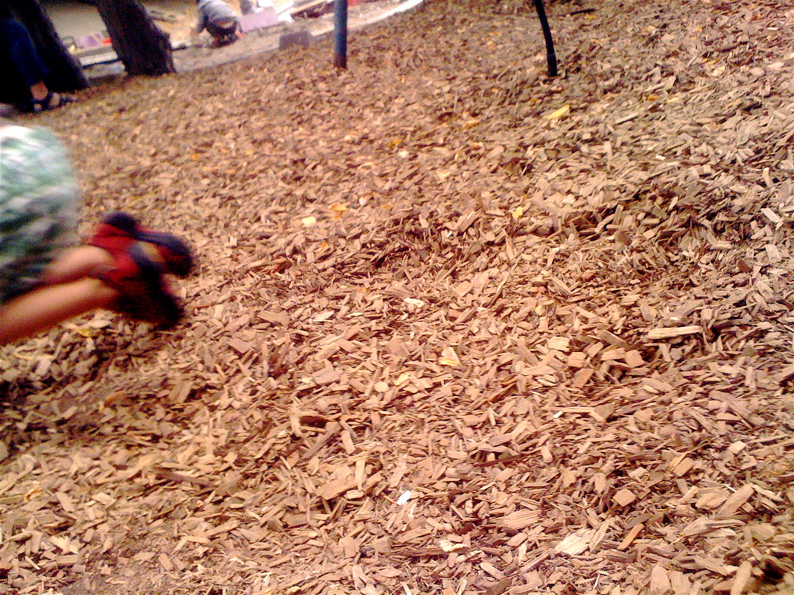 Lam Dep Phu Nu: Red Cedar Dust Safety Issues Wooden Plans