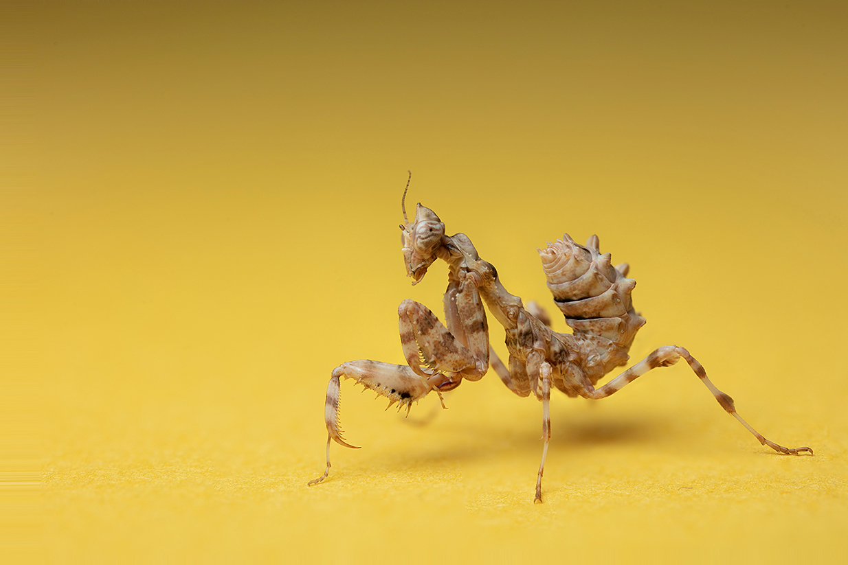 phils photographic adventures