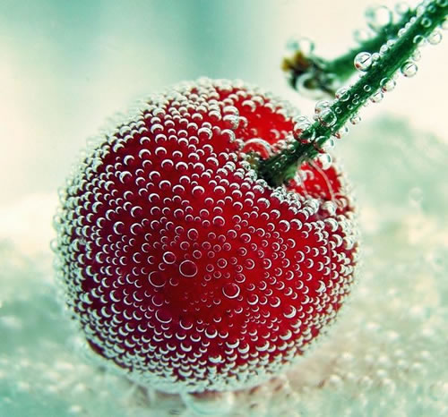 Examples Of Stunning Macro Photography ~ Hampix