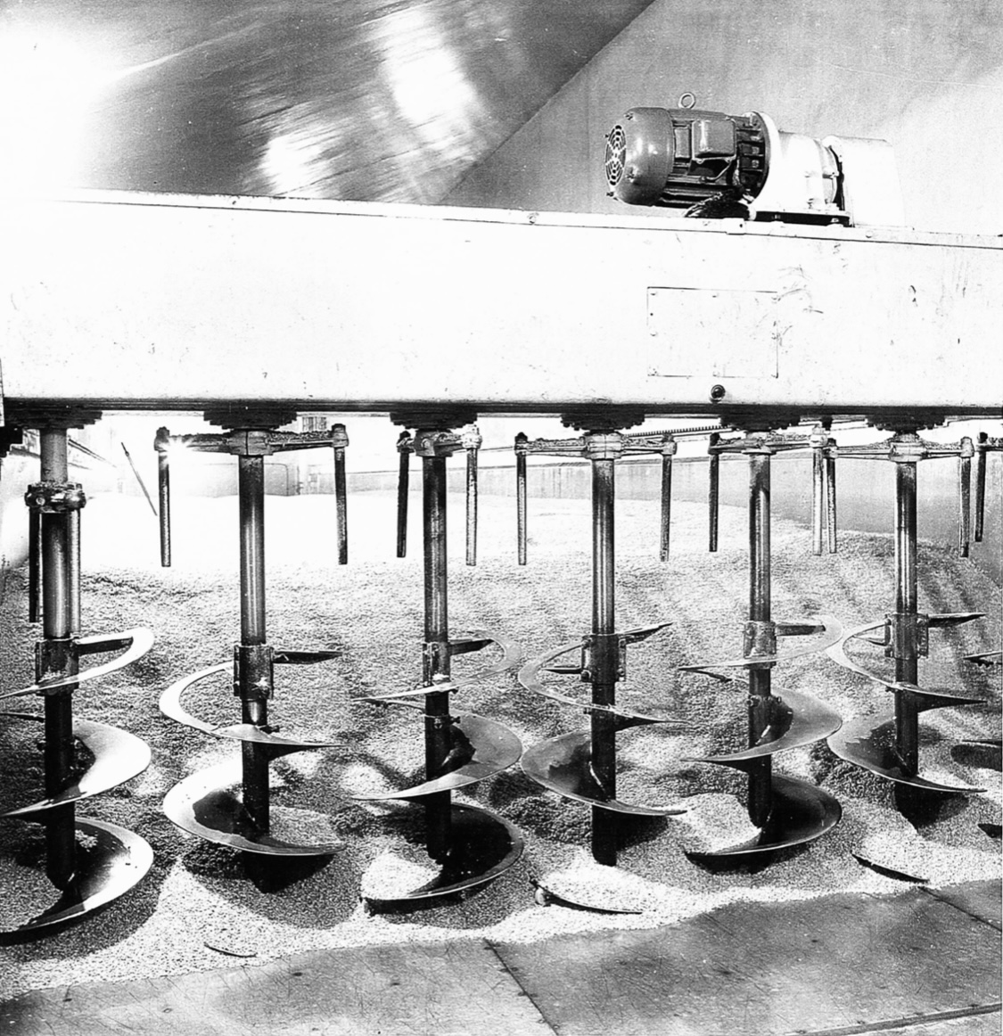 Glen Mhor Saladin Box Screws