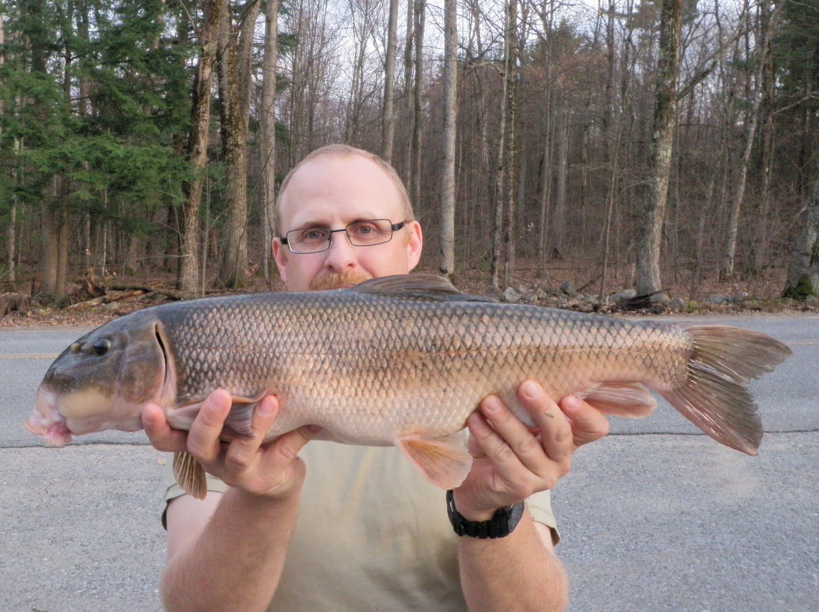 The Adventures and Musing of Drew Price, Angler: New State Record White ...
