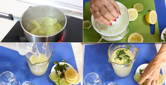 JULIA Y SUS RECETAS: Limonada casera