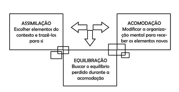 Construtivismo Piagetiano: Assimilação e acomodação: equilibração