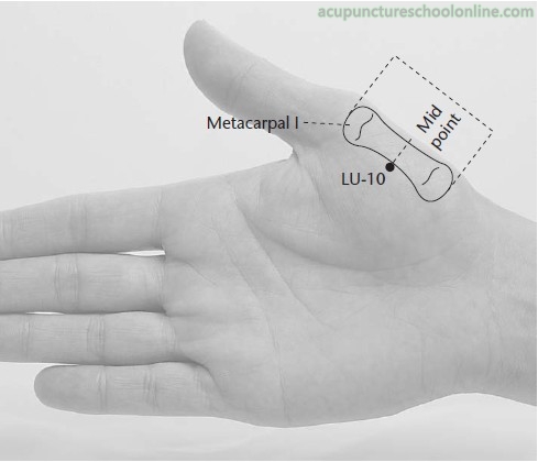 Jarum Sakti: Meridian Paru-paru & Usus Besar