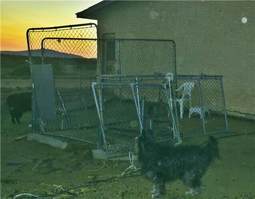 High Castle Traditional Crafts: Sheep Shearing Pen