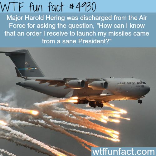 50 RANDOM WTF FACTS IN YOUR FACE THAT WILL FRY YOUR BRAIN | Amazing WTF ...