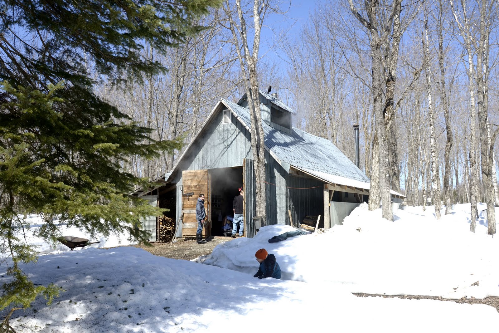 Notre Cabane au Québec: À la cabane à sucre