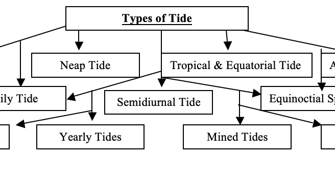Different Types of Tide