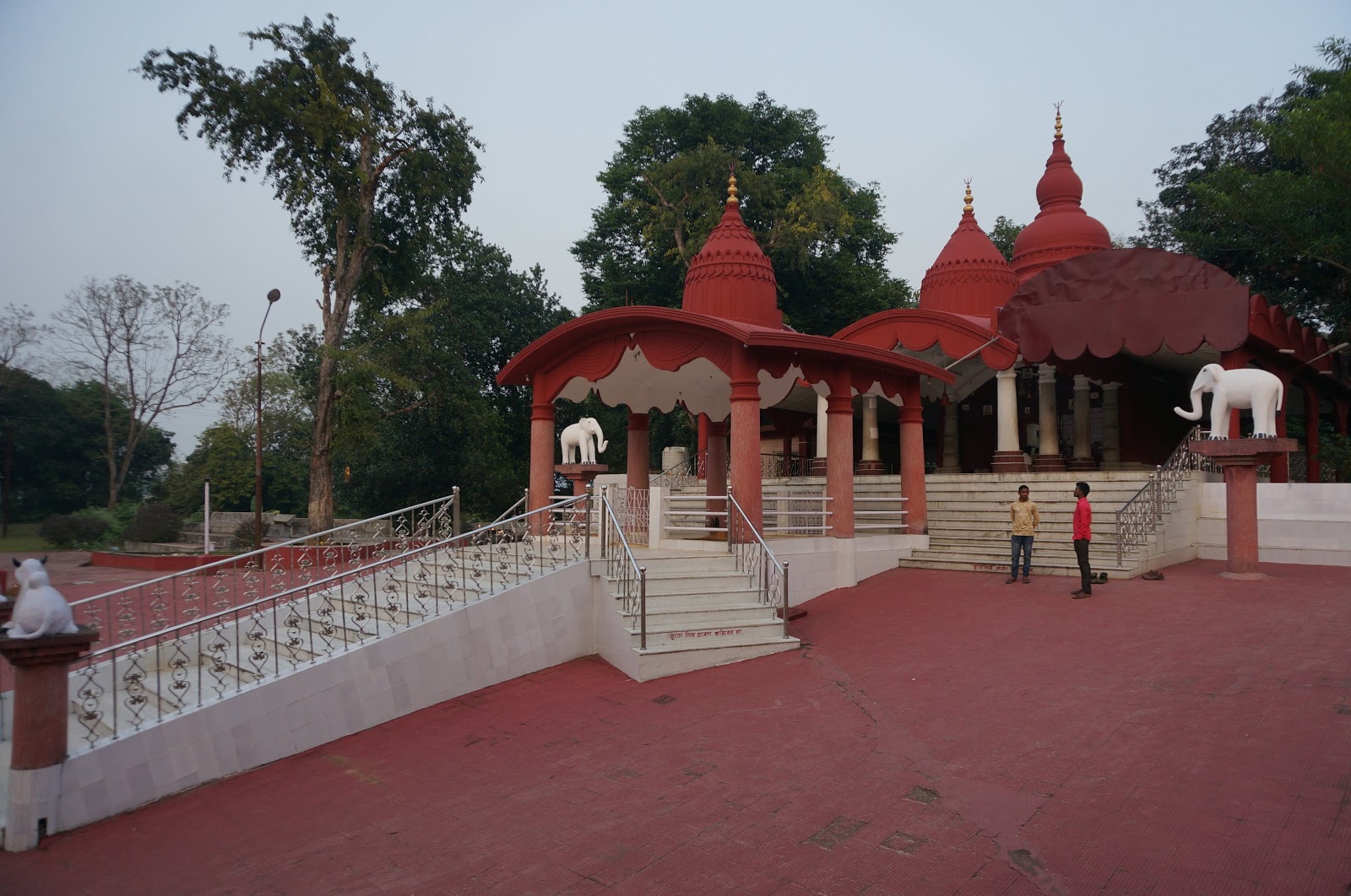 Feet with wings : 2017