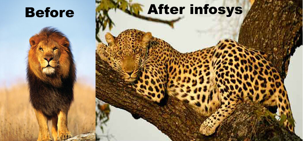 geniusjaggu's analysis: Lucky leopard escaped from Mysore Infosys.