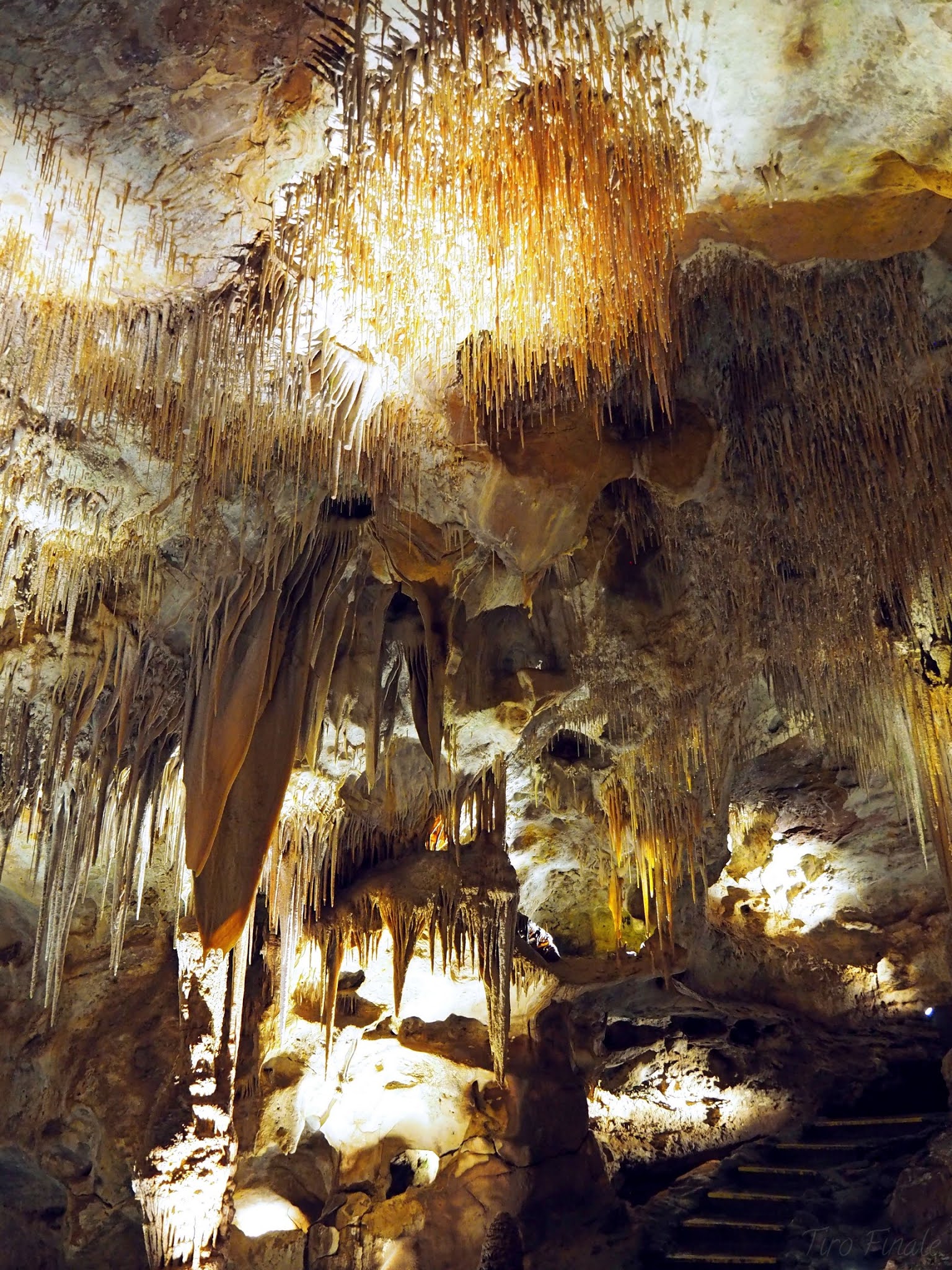 Travelog: The Tantanoola Caves