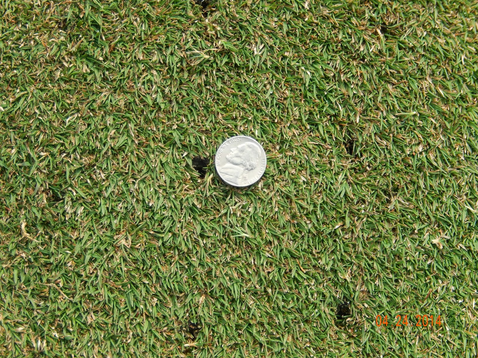 Northmoor Country Club Golf Course Operations: Aerifying Greens