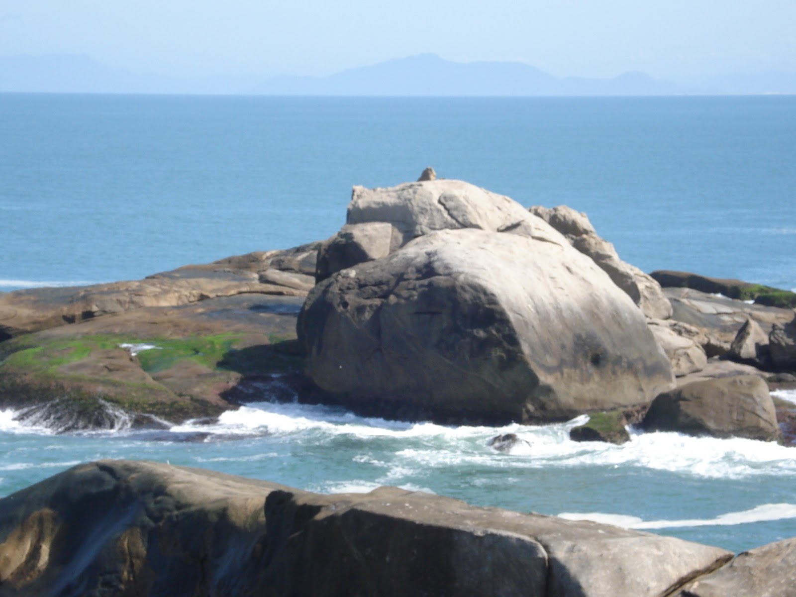 RMM Trilhas: Praias Selvagens e a Restinga de Marambaia
