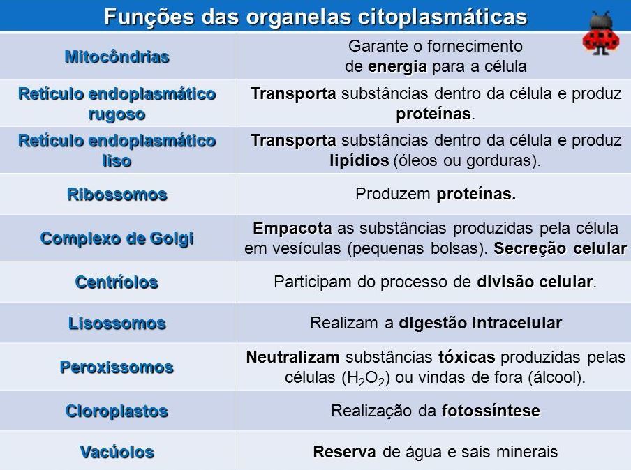 Biologia Lógica: 2020