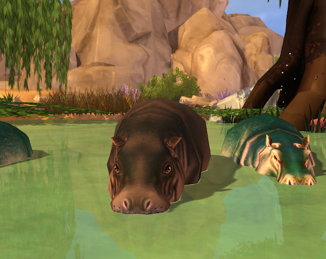 Go To Safari - Lily Sims