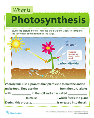1,2,3...ENGLISH!: mayo 2020