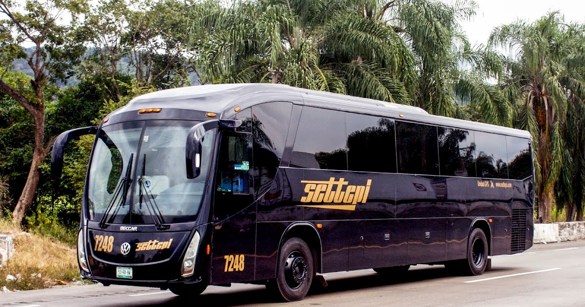 MAXIBUSES: SETTEPI (TURISMO)