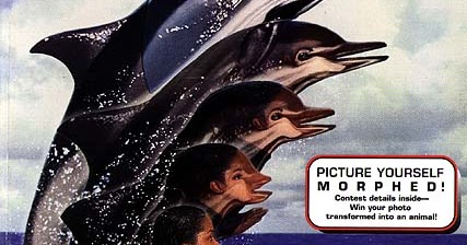 Animorphs Book 4: The Message by K. A. Applegate