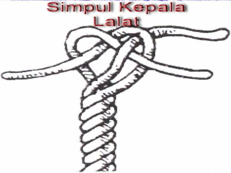 Persekutuan Pengakap Malaysia Daerah Kinta: Lain-Lain