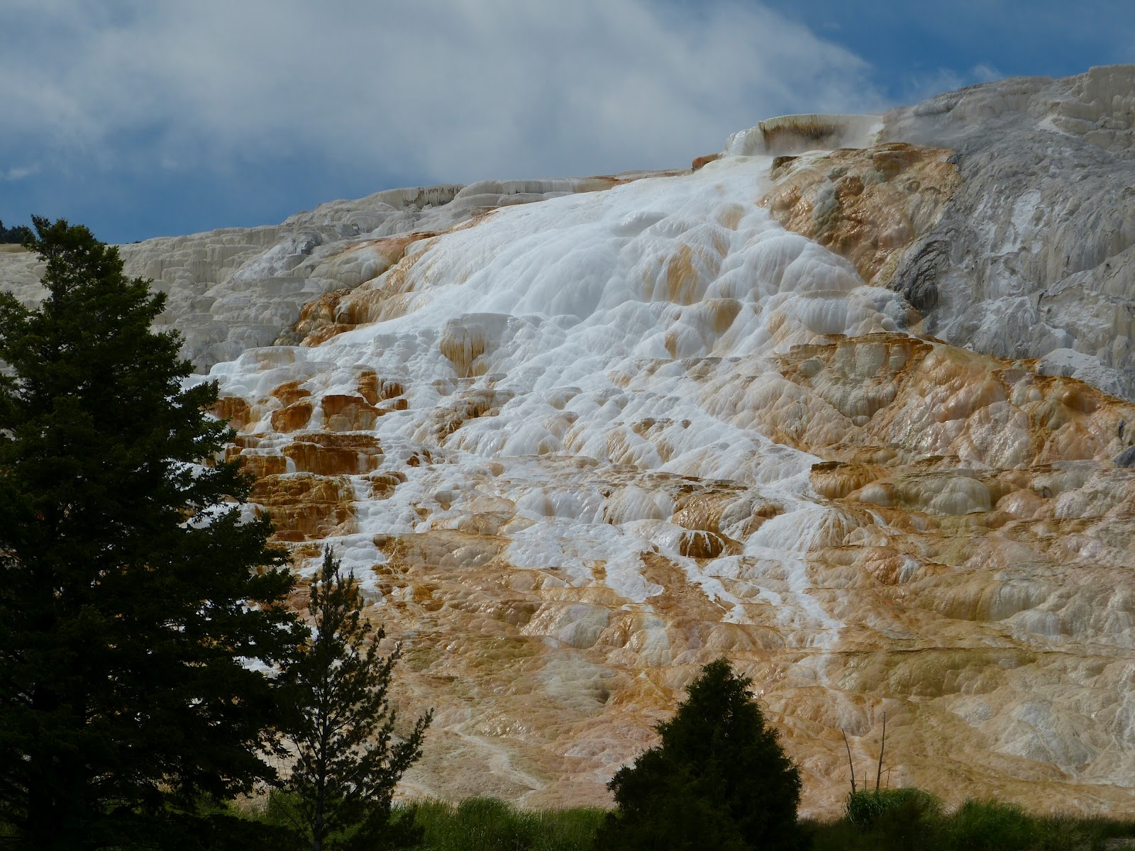 Tim and Kate's National Park Tour and More 2012: YELLOWSTONE PART IX