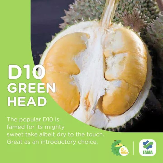 24 Jenis-Jenis Durian Beserta Nombor Code Yang RARE, Jarang Kita Dengar