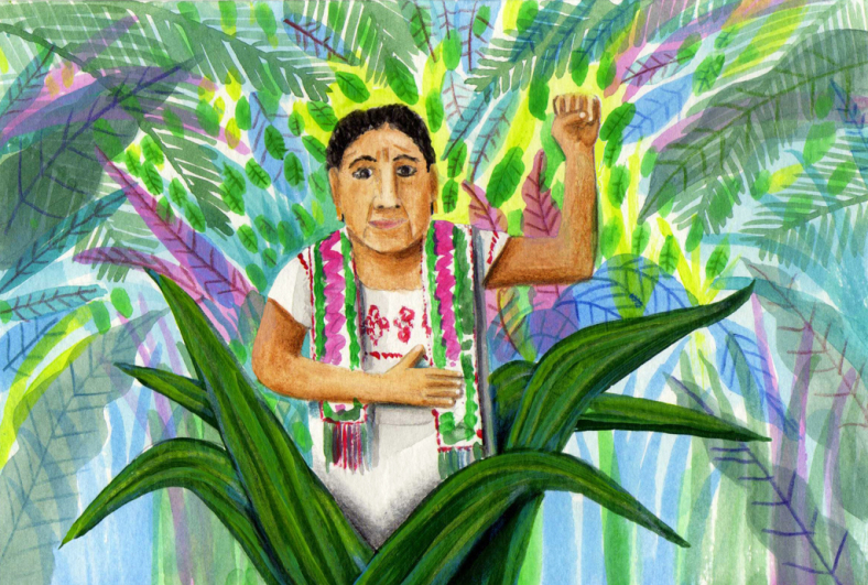 LAS MADRITIERRAS Y LOS PADRINAUTAS: MARICHUY : CURANDERA Y ACTIVISTA ...