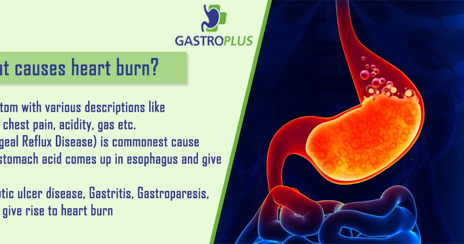 GASTROPLUS : Digestive Disease Centre and Advanced Endoscopy Clinic in ...