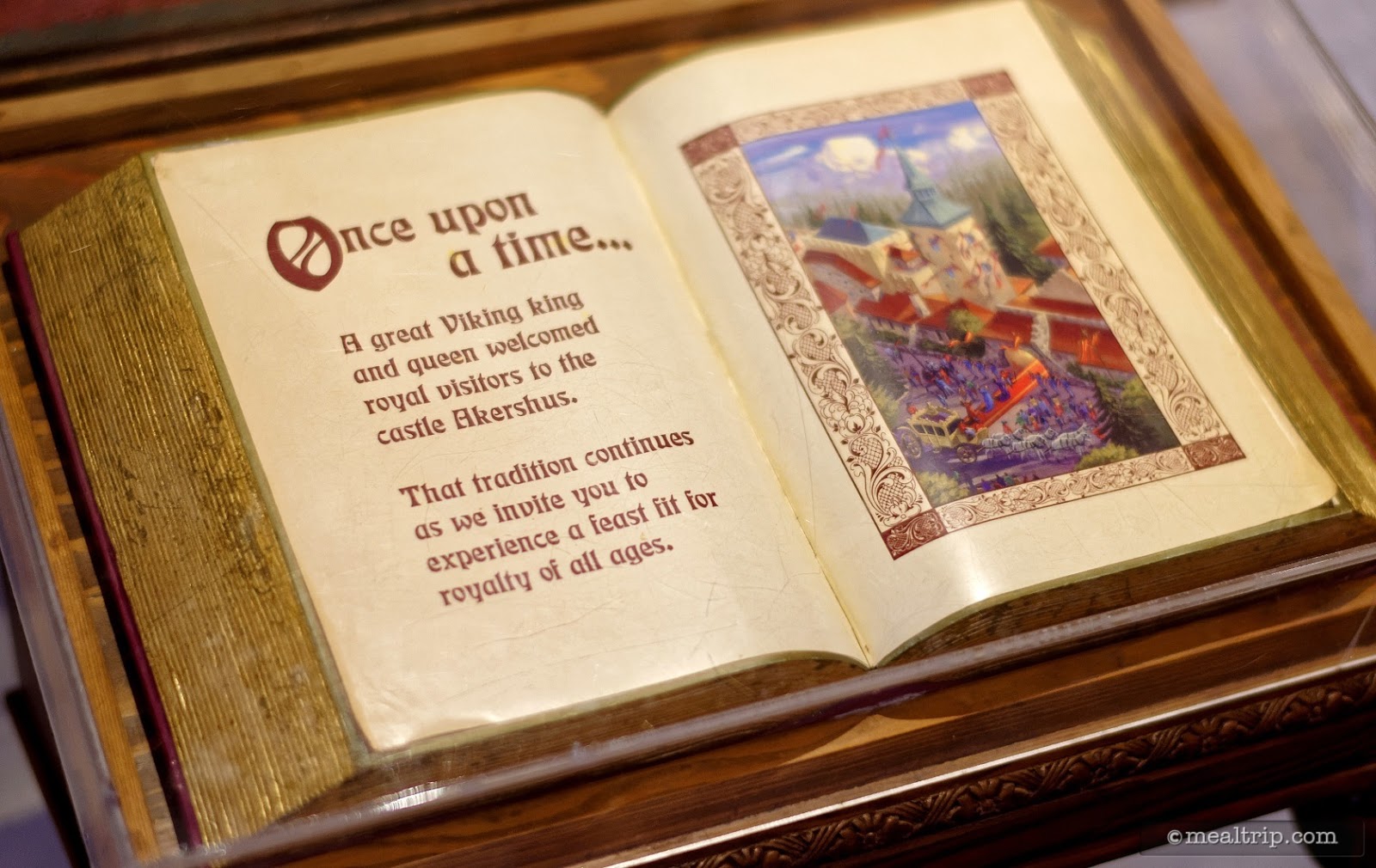 Stuck in the Middle...or...Beginning. | Scribbles & Munch