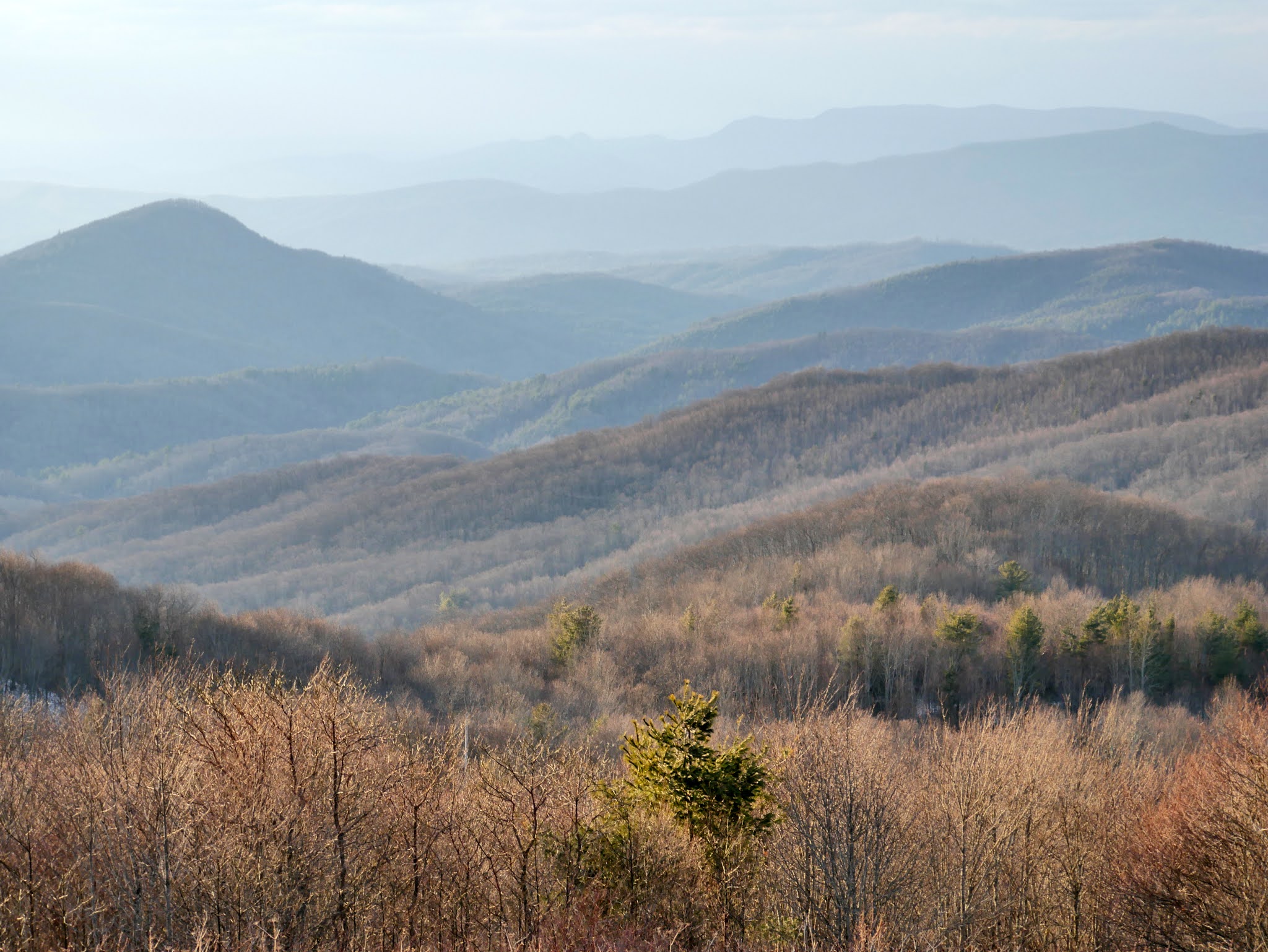 American Travel Journal: Max Patch Road to Max Patch Summit ...