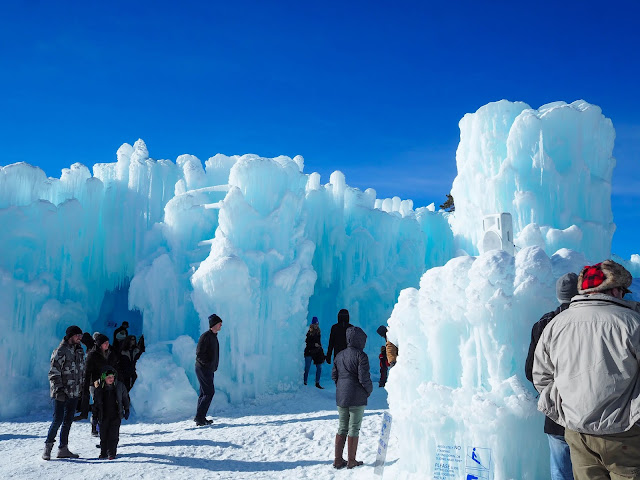 there just a few short months ago isn t it amazing what science nature ...