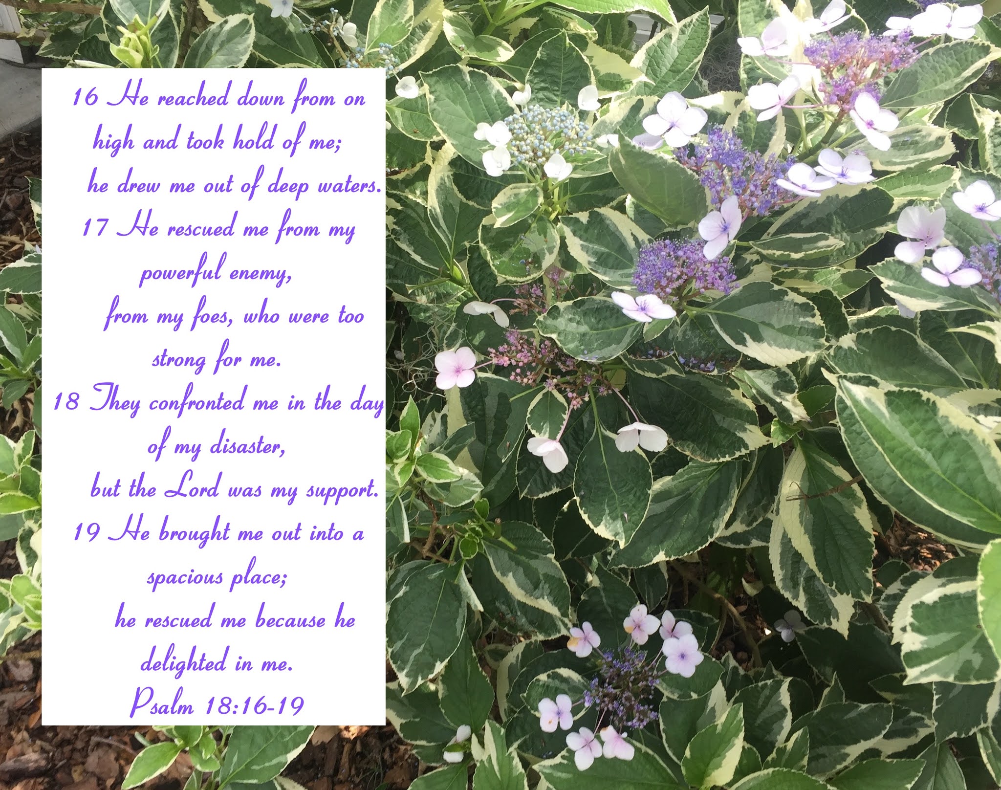 My Strength Psalm 18 I Am Not Alone my-strength-psalm-18-i-am-not-alone