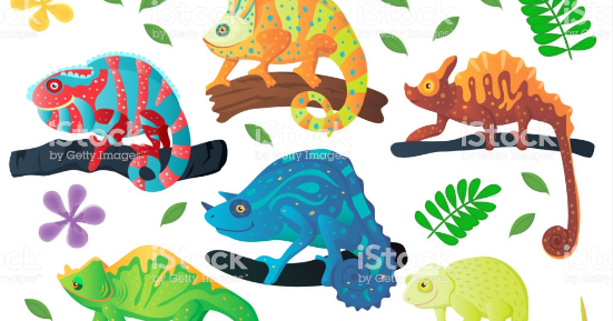 Gambar Sketsa Hewan Bunglon - slot online