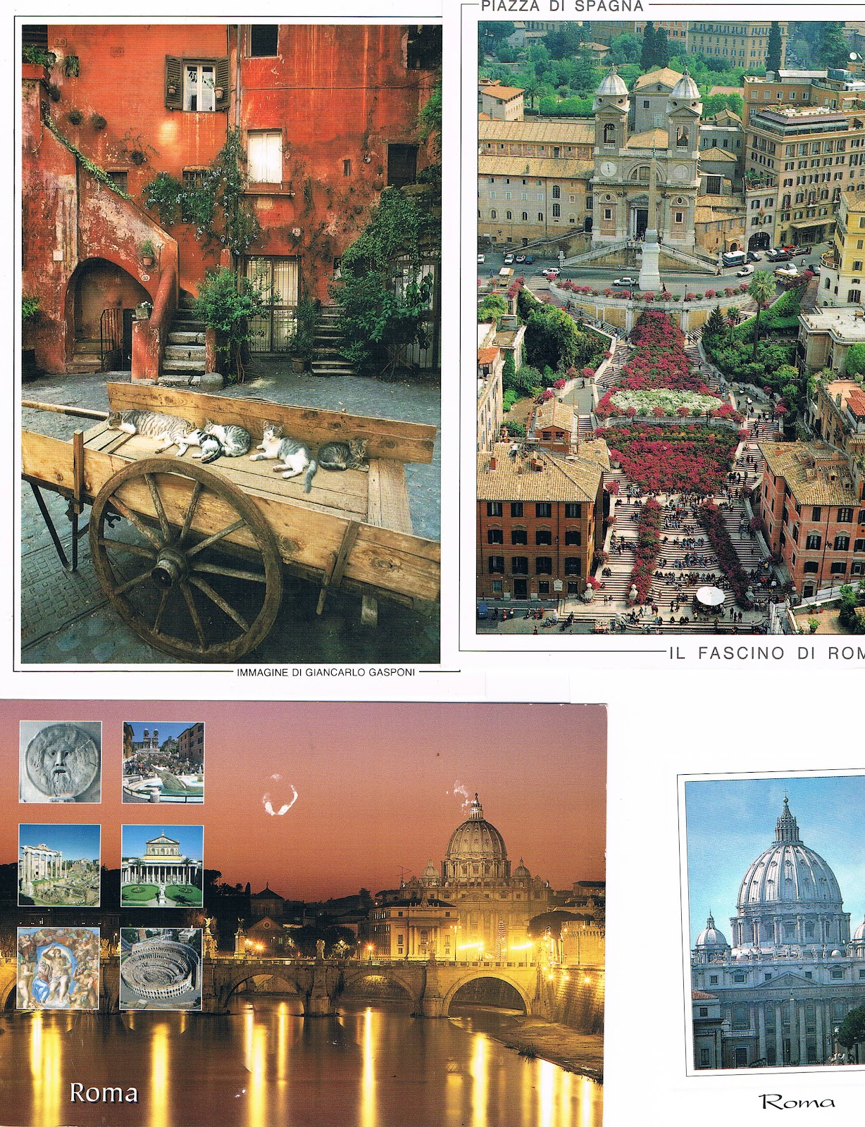 Reflective Thoughts by Barbara: A POSTCARD FROM MY CHILDREN FROM ROME ITALY