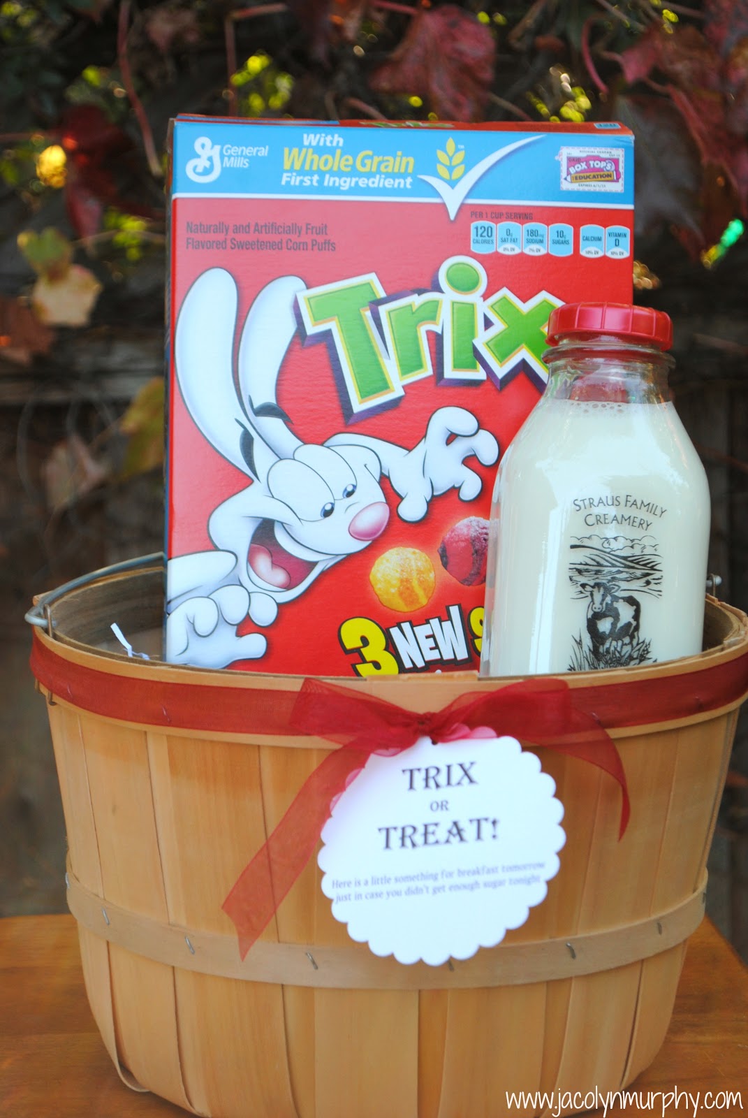 Jac o' lyn Murphy: TRIX or Treat...easy Halloween Hostess Gift