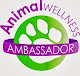 Animal Wellness Ambassadors: Animal Best Friends at Rocky Ridge Refuge