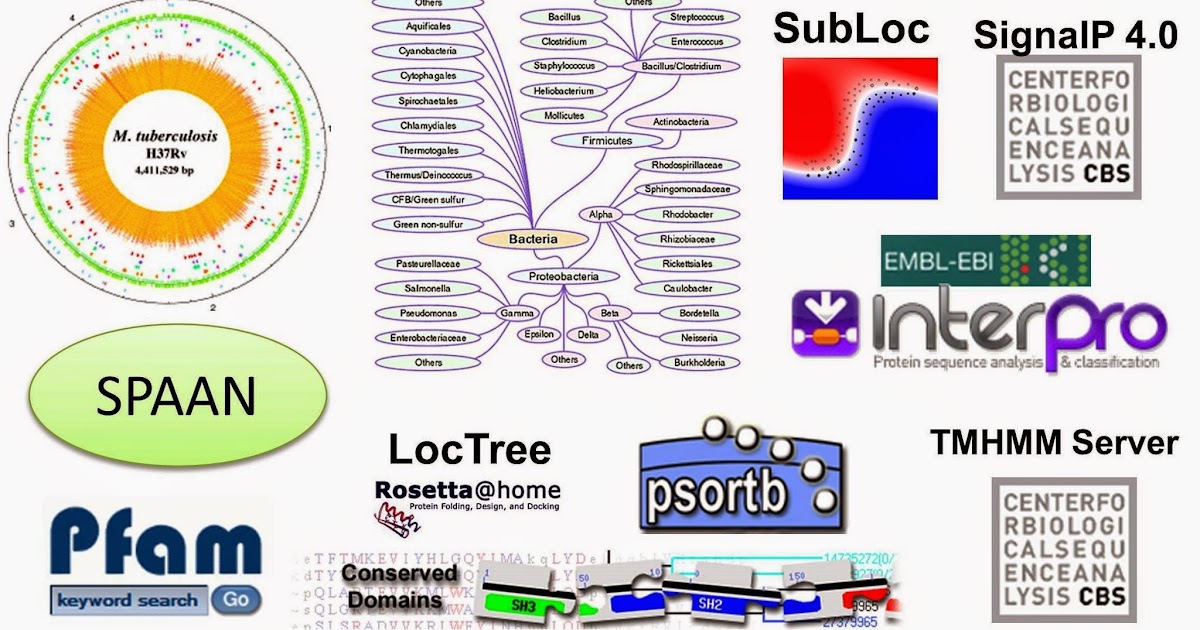 Bioinformatics Tools: How to make a protein soluble?