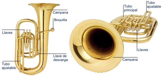 Tuba: Partes de la Tuba
