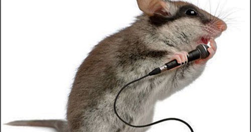 Retired--Now What?: Mice Songsters