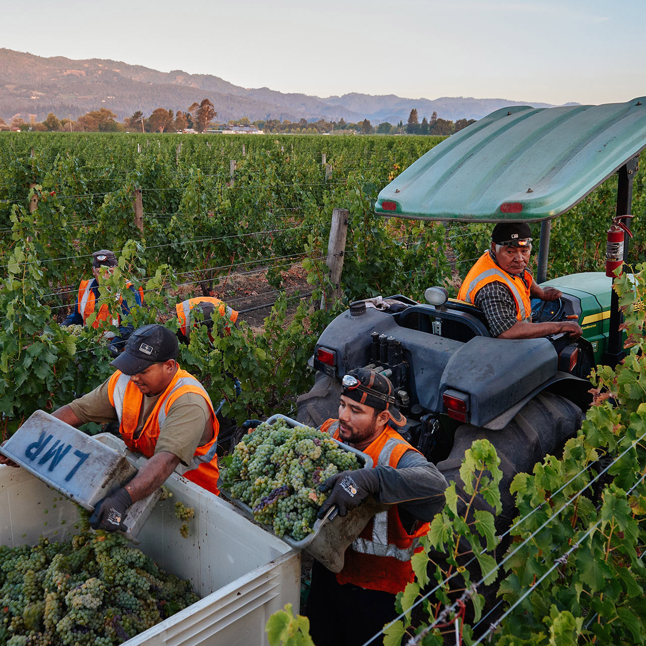 Career Advice in the Wine Industry: WineTalent Classifieds: Accounting ...