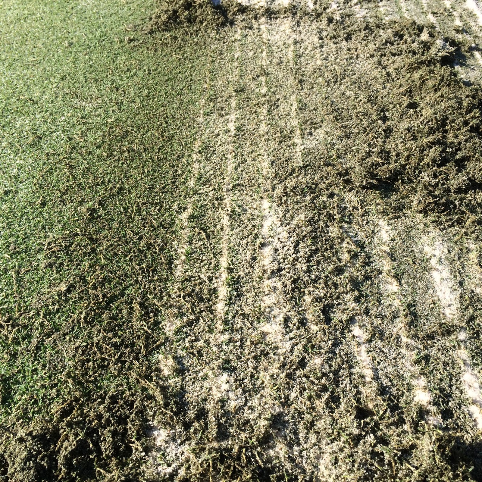 The Bear Trace at Harrison Bay Golf Course Maintenance: Graden Contour ...