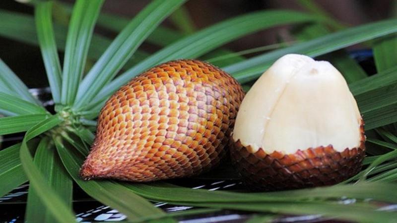 5 Manfaat Buah Salak Untuk Kesehatan