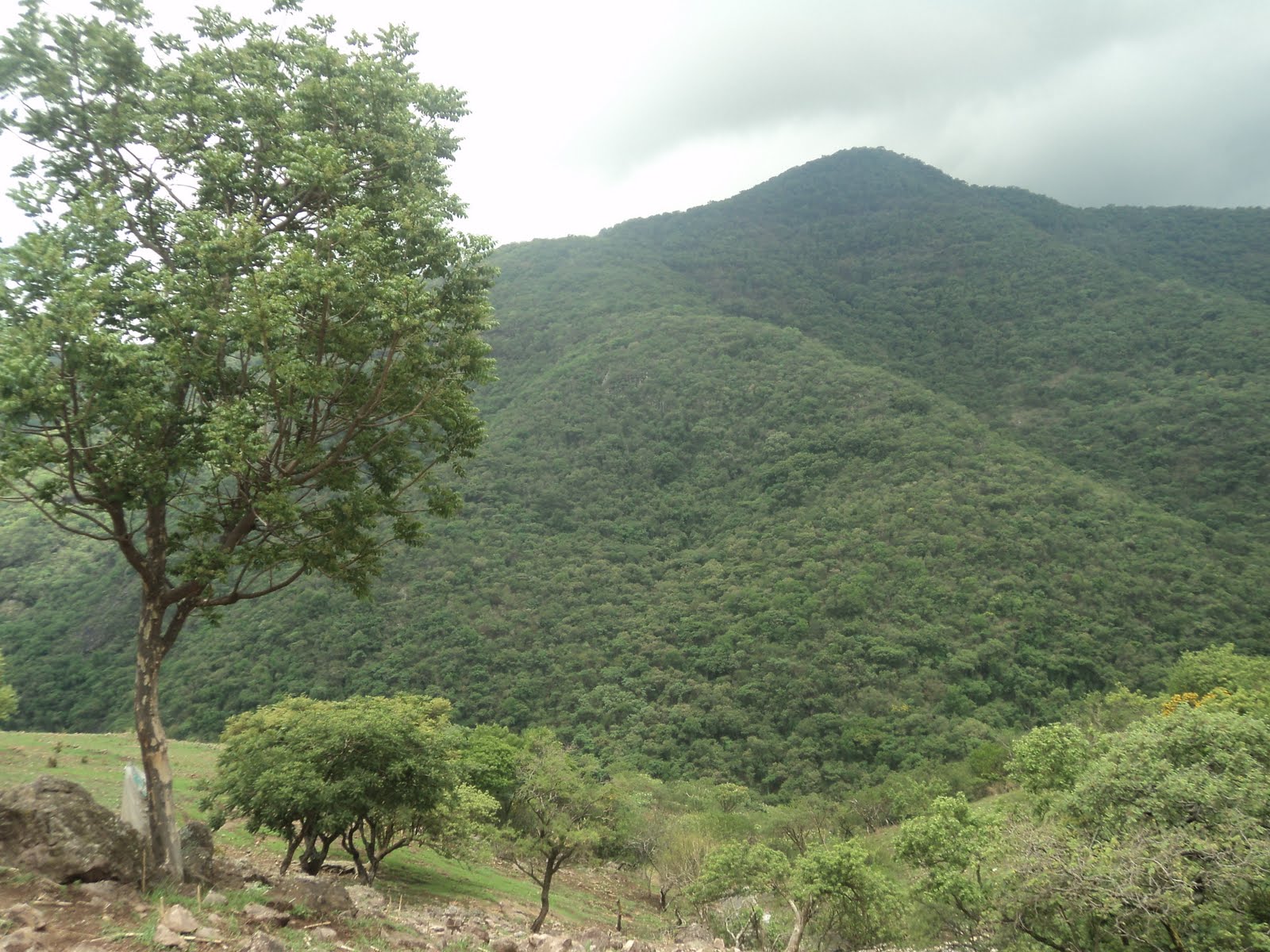 Museo Comunitario San Esteban Tetelpan, Asociación Civil....SIGUENOS ...